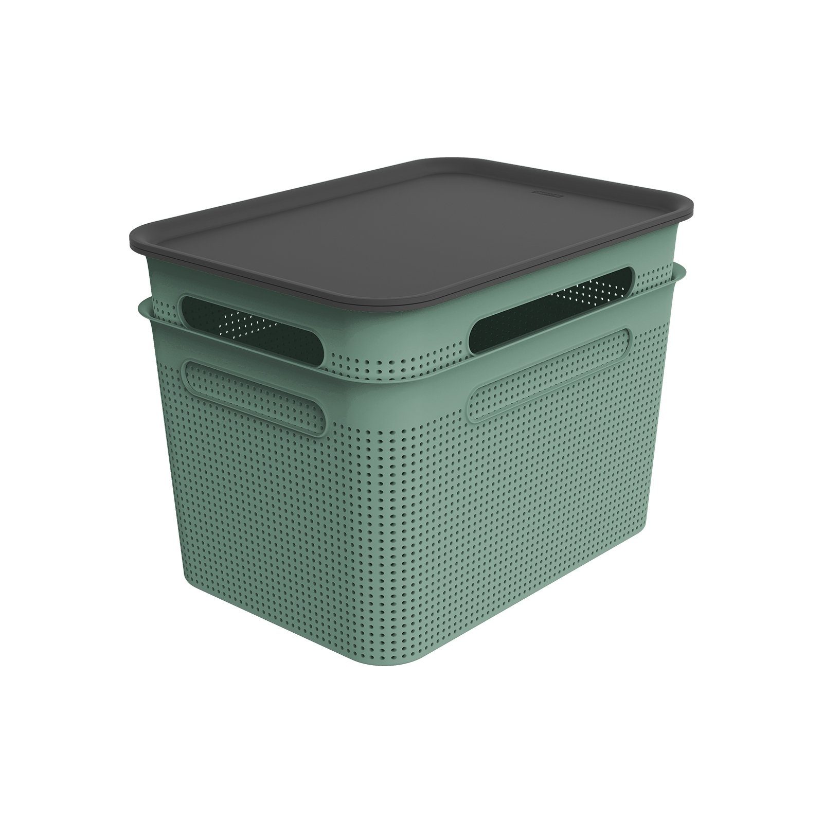 Rotho Aufbewahrungsbox Brisen 2er Set Aufbewahrungsbox 16l Mit Deckel
